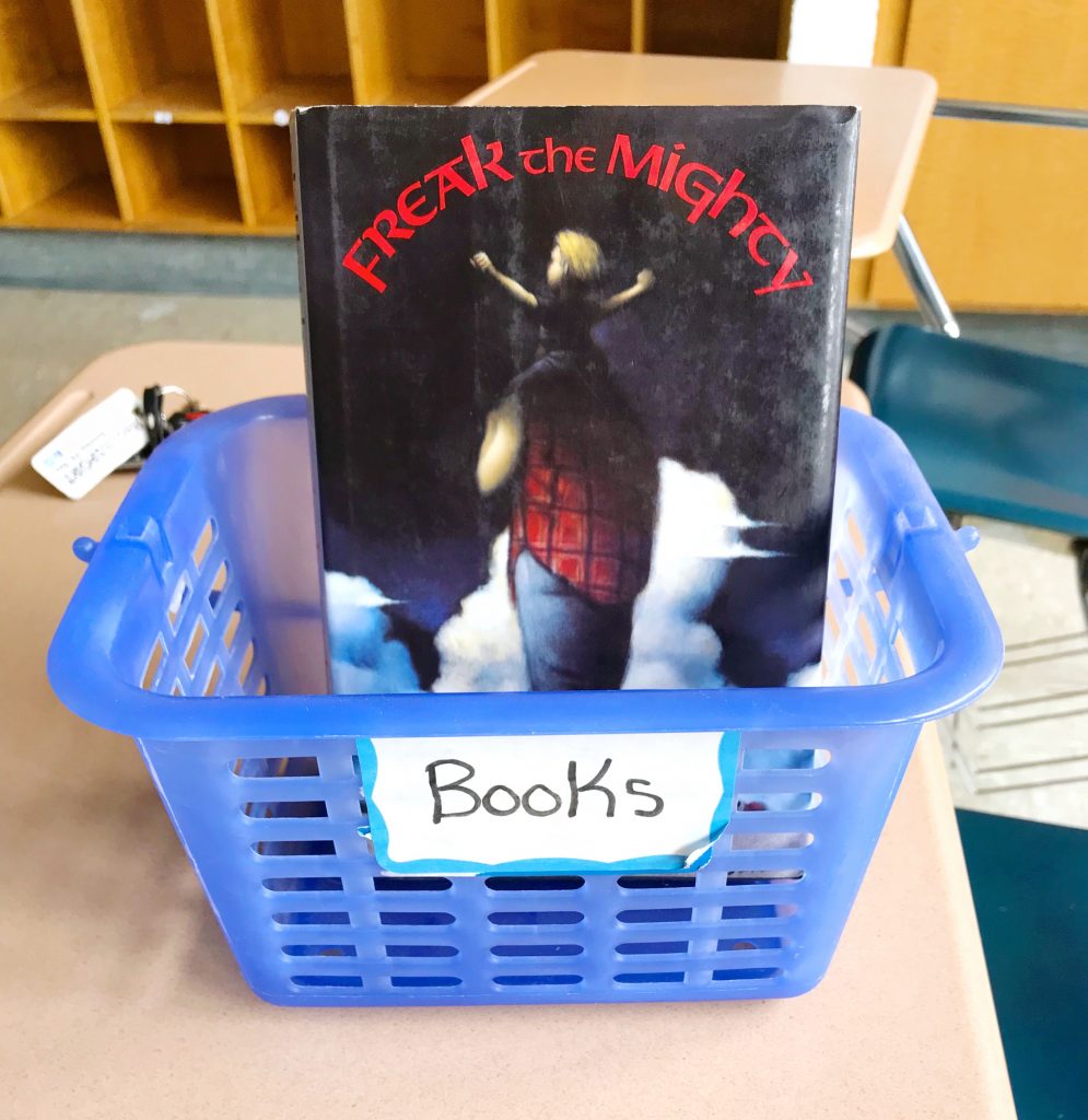 5-Classroom Library Ideas You Want to Consider Today - It's a Teacher Thing